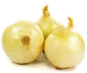 Cultivo de cebolla: conoce cómo es, cuánto dura y su manejo