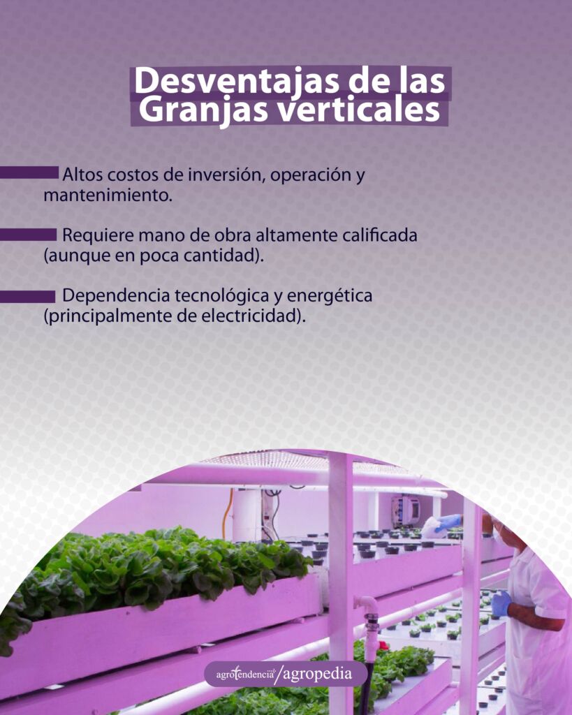 Granja vertical: conoce sus tipos, beneficios y desventajas