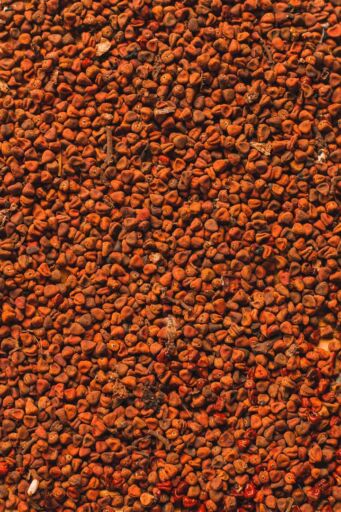 Onoto: conoce qué es, para qué sirve y sus beneficios